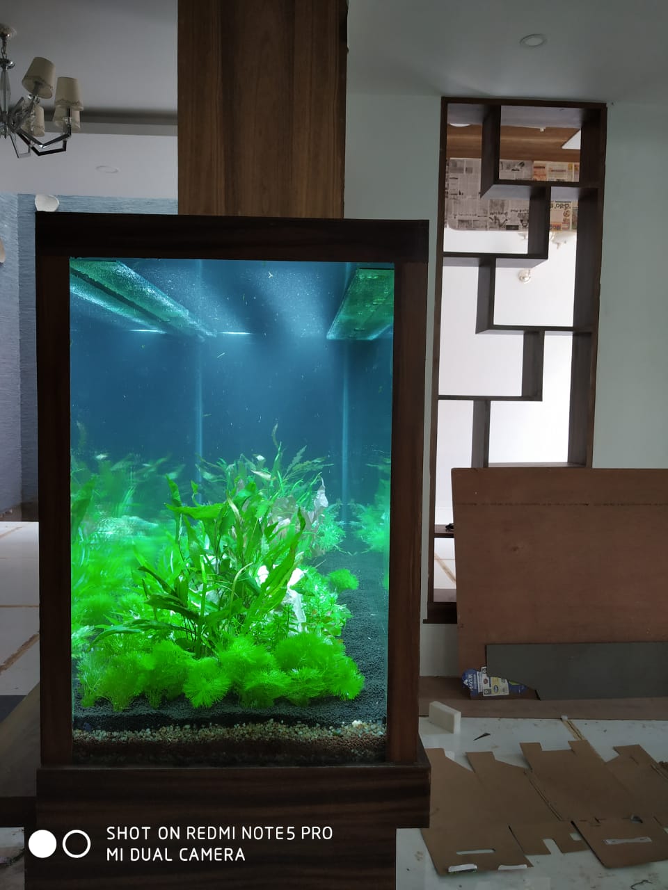 Aquarium Design India