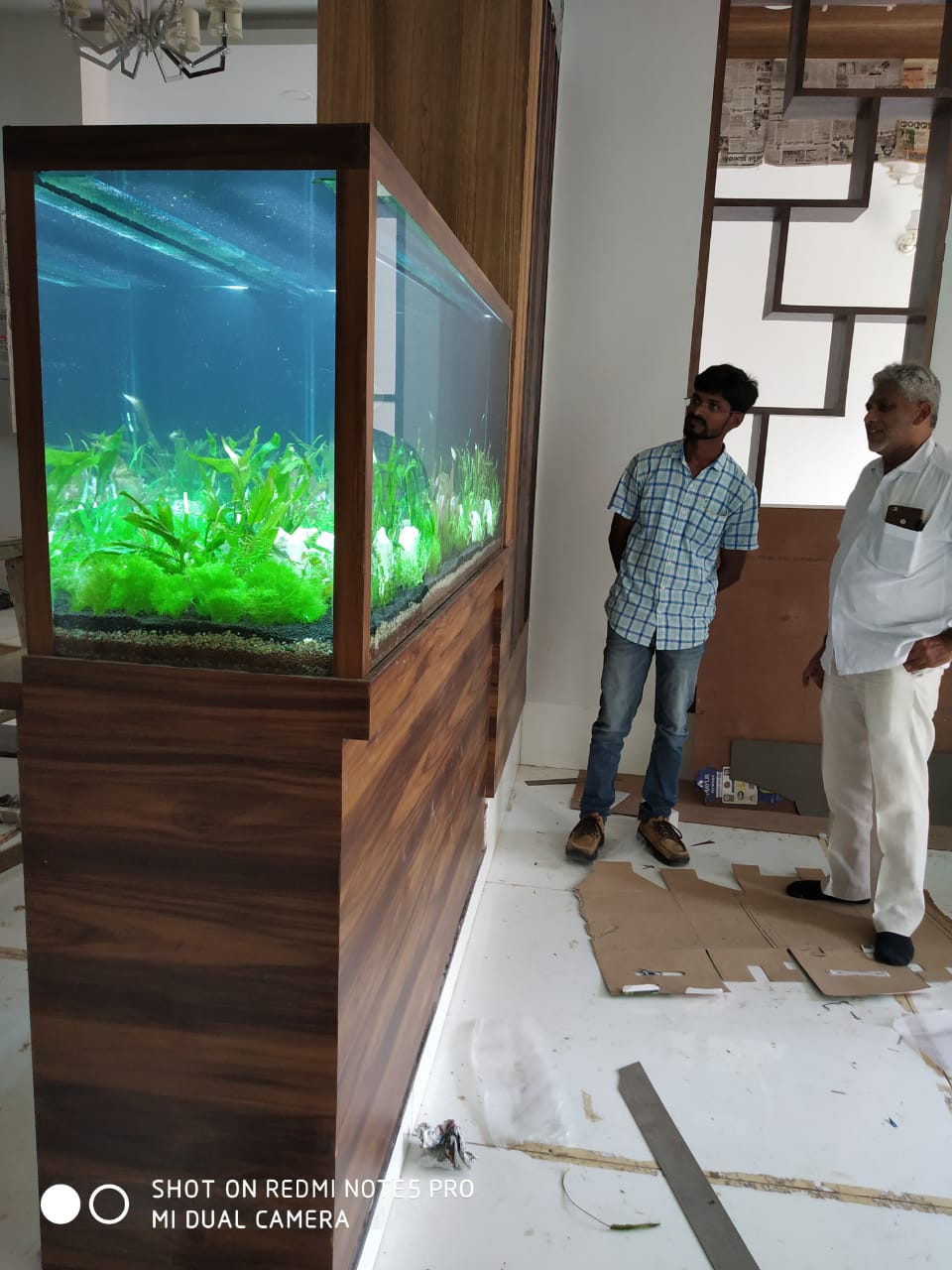Aquarium Design India
